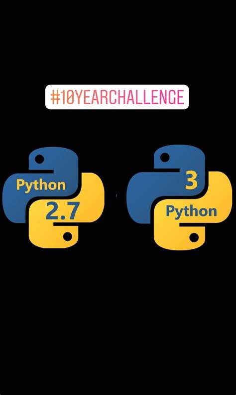 YearChallenge R Python