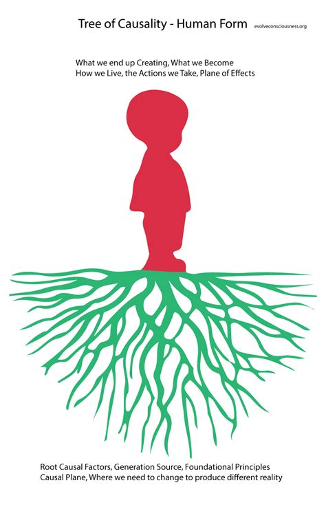 Nl12 Tree Of Causality Human Form