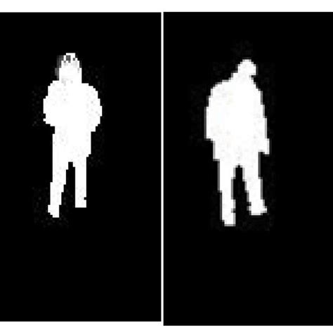 Example Templates Used For Human Verification Download Scientific Diagram