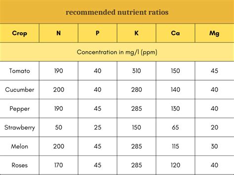 Complete Guide About Hydroponic Nutrient Solution Ratios