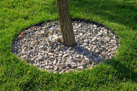 Can I Put River Rocks Around Trees Explained Southern Sun Landscaping