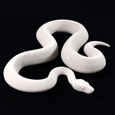 D File Ball Pythons Realistic Royal Python Pet Snake Model To