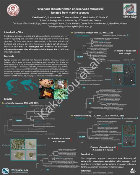 Pdf Polyphasic Characterization Of Eukaryotic Microalgae Isolated