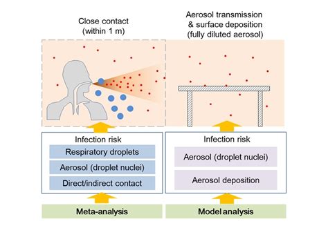 Hpv Aerosol Transmission At Kathleen States Blog