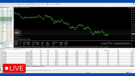 🟢live Forex Trading Robot Youtube