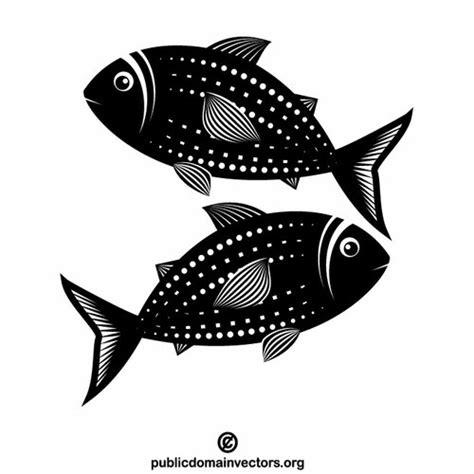 Gambar Ikan Hitam Putih Cxgzfdsxuwu08m Tayla Woolley