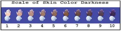 Skin Scale