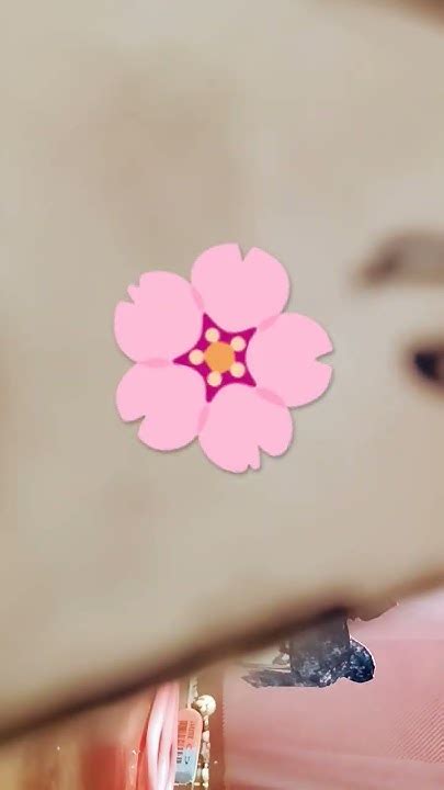 мама мисс твайлат папа мисс циркуль Fpe Youtube