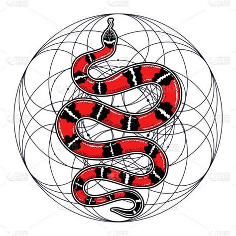 手工画的老式蛇纹身艺术矢量插图