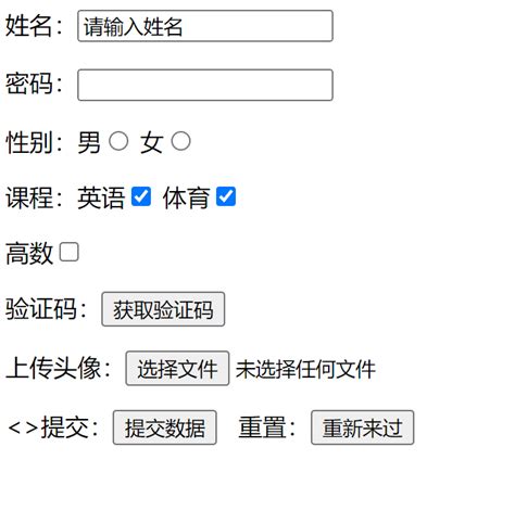 表单——前端基础 Cfanz编程社区