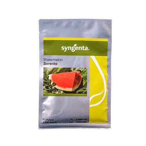 სორენტო F1