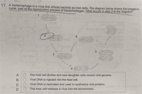 Solved 17 A Bacteriophage Is A Virus That Utilizes Bacteria As Host