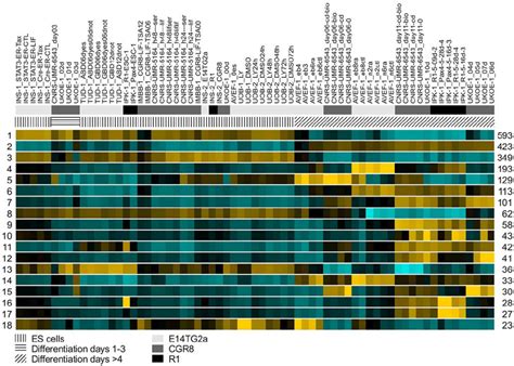 global hierarchical clustering analysis of the fungenes microarray