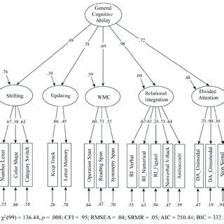 Hierarchical Model Of Cognitive Latent Variables The Proportion Of