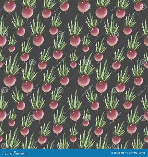 Hand Drawn Root Vegetables Seamless Nature Background Fresh Organic