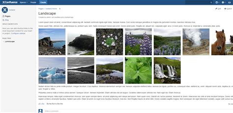 Image Galleries And Slider For Confluence Devpost