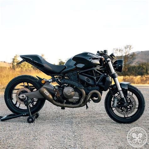 Female Celebrities X Male Reader Imagines From The Moment Sofia