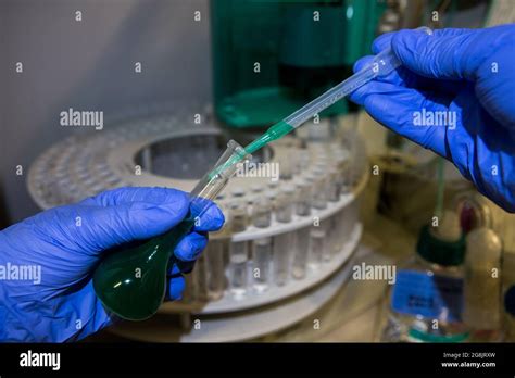 Scientist Analysing CBD Oil In A Chemistry Laboratory Ion