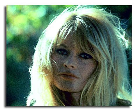 Bardot Products