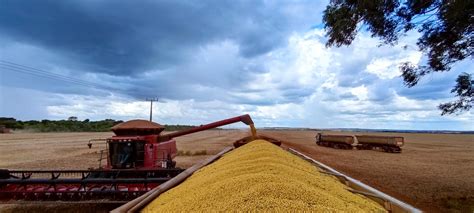 Ms Atinge Recorde De área De Cultivo Na Safra De Soja 2223 Aprosoja Ms