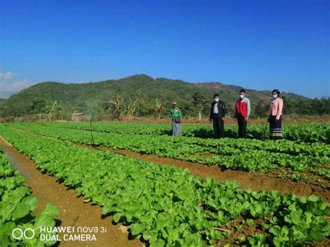 ဖားကန့်မြို့နယ်၌ မြစိမ်းရောင်ကျေးရွာစီမံကိန်းလုပ်ငန်း ဆောင်ရွက်ထားရှိမှုများအား စစ်ဆေး