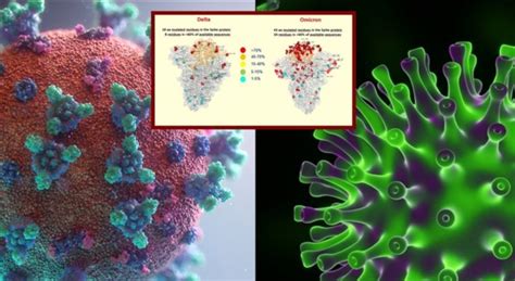 Deltacron La Nuova Variante Che Combina Delta E Omicron Casi In Tutta