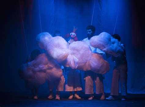 Дивите лебеди Държавен Куклен Театър Пловдив