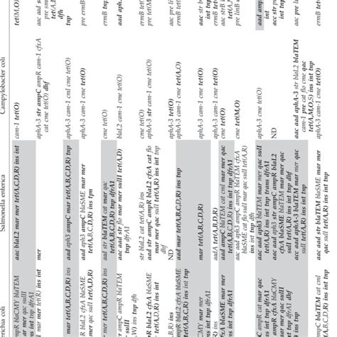 Summary Of Microarray Gene Probes With Positive Hybridizations To