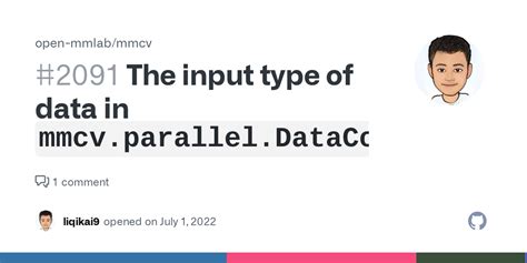 The Input Type Of Data In `mmcvparalleldatacontainer` · Issue 2091