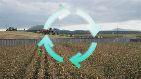 Agricultura Regenerativa El Futuro Cropaia