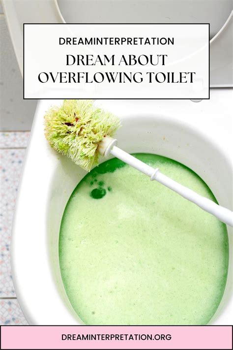 Dream About Overflowing Toilet Interpretation Spiritual Meaning
