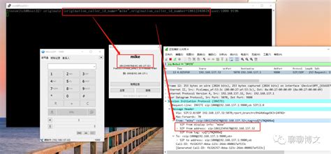 一文读透FreeSWITCH的originate命令解析及示例 freeswitch originate CSDN博客
