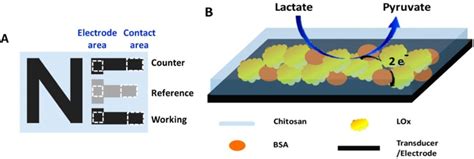 Figure 2 From Wearable Electrochemical Sensors For The Detection Of Organic Metabolites And