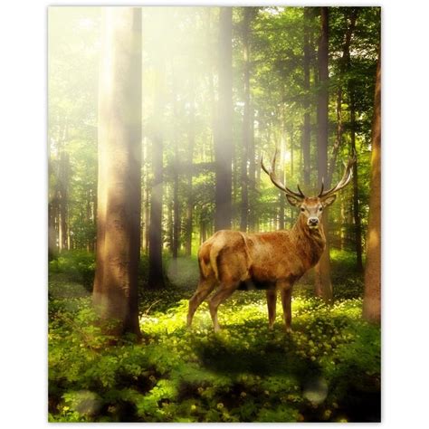 Naklejki 40x50 Jeleń w magicznym lesie Cena Opinie Naklejki
