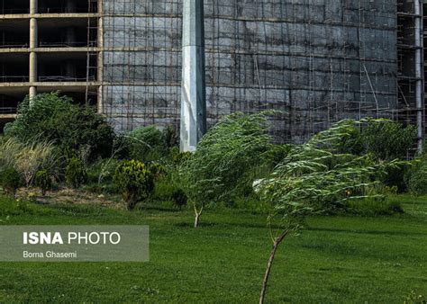 خیزش گرد و خاک در جنوب تهران وقوع توفان‌های لحظه‌ای خبرآنلاین