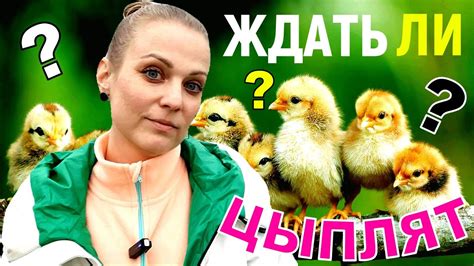 ЧТО С ВЫВОДОМ ЦЫПЛЯТ 🐣 ЗАПУСКАЕМ РАССАДНИК 🌱 Youtube