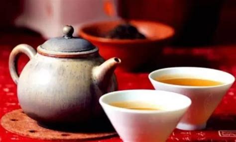 愛茶之人需要知道的六件事 每日頭條