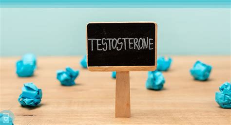 Como Aumentar Testosterona Com Alimentos E Suplementos Baratos