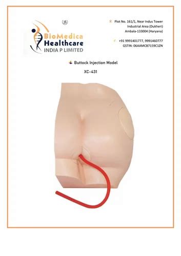 Pvc Buttock Injection Model For Education At ₹ 3907 In Ambala Id 2855168462312