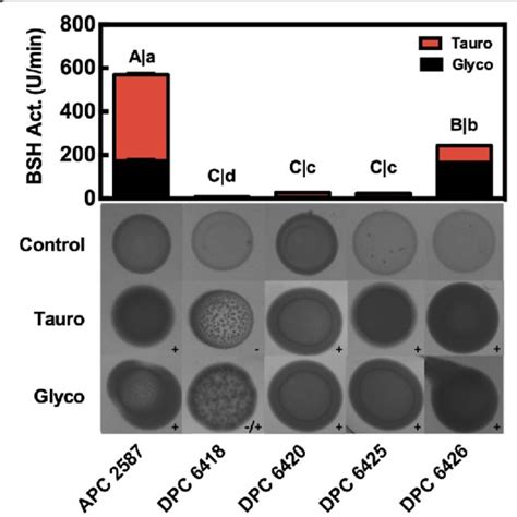 Bile Salt Hydrolase Activity Of Lactobacillus Mucosae Strains Compared