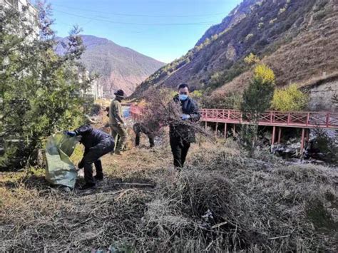 亚丁旅发公司开展今冬明春森林草原防灭火边坡林草专项清除活动稻城亚丁景区旅游开发有限责任公司