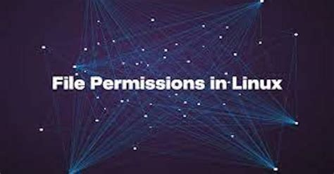 Vaishnavi S On Linkedin Day 6 Task File Permissions And Access