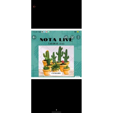 Jual Tanamn Kakktuus Shopee Indonesia