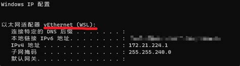 Wsl2 Docker Gui 界面ros Wsl Docker Csdn博客 Wsl2 Docker Gui 界面ros Wsl Docker Csdn博客
