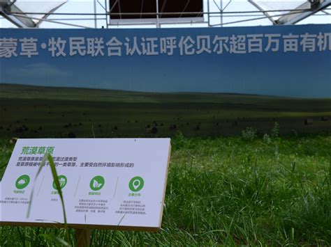 【东北新闻网】蒙草生态：中国草原生态修复的引领者 新闻中心 内蒙古新闻网