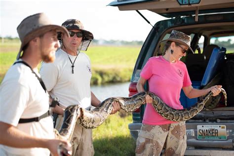 A Look Into The 2020 Python Bowl Discovery