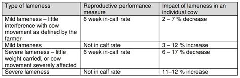 Reducing Dairy Cow Lameness In Wet Weather Farm Online Act