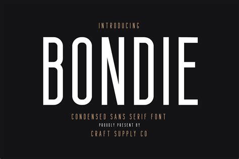 Sans Serif Font 2024 Lanie Phedra