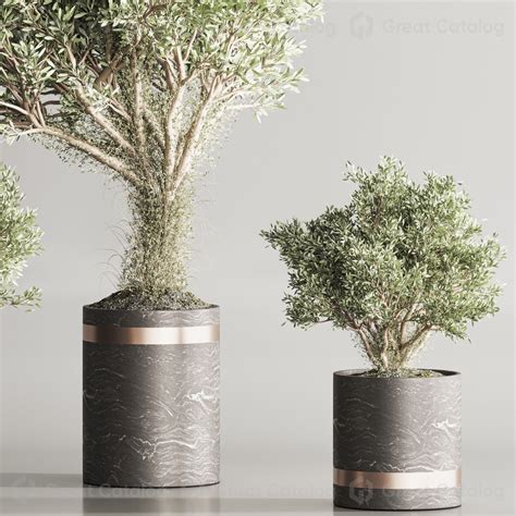 Potted Plants Indoor 113 3d Model Greatcatalog 53815