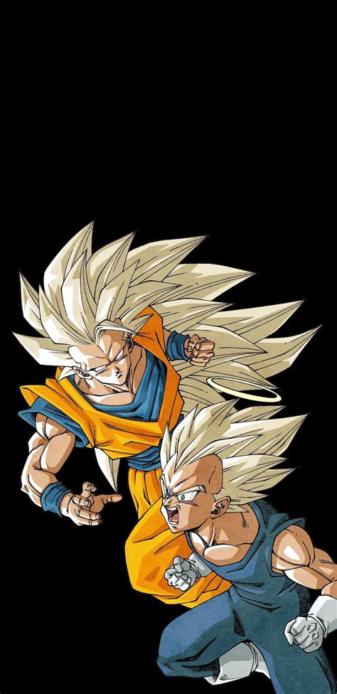 Super Saiyan 3 Goku And Super Saiyan Vegeta From Dragon Ball Z 1240x2555